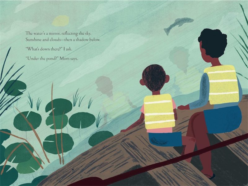 Over and Under the Pond, by Kate Messner | Book Review – The Children's ...
