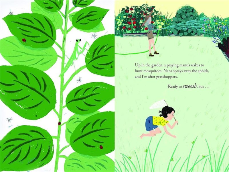 Up in the Garden and Down in the Dirt, by Kate Messner | Book Review ...