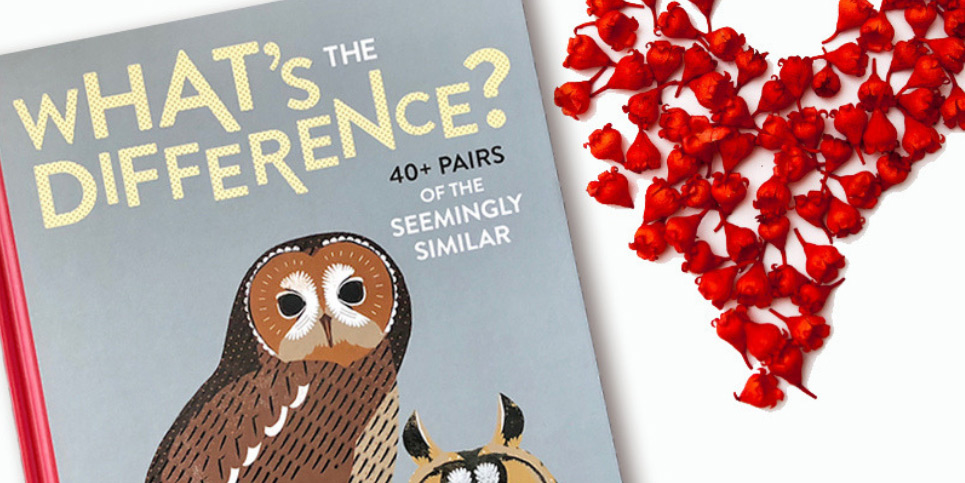 What’s the Difference?: 40+ Pairs of the Seemingly Similar | Book ...