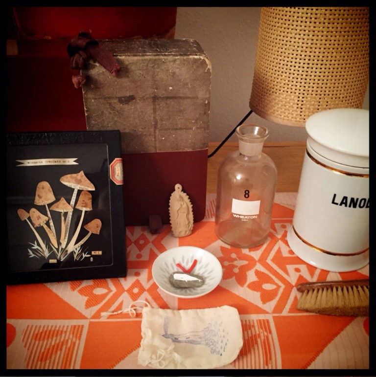 Inside the Studio with Carin Berger, Author-Illustrator of A Curious ...