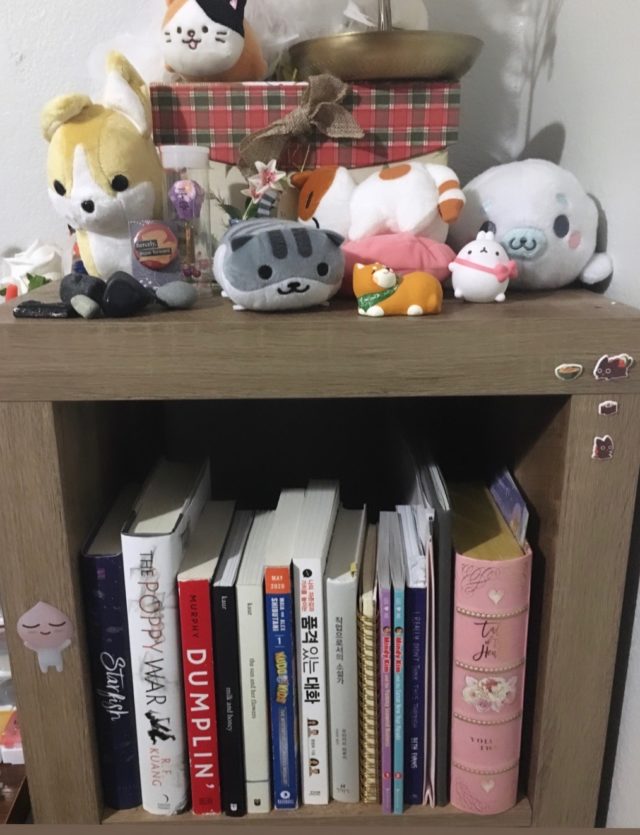 Selfie and a Shelfie with Lyla Lee, Author of the Mindy Kim Chapter ...