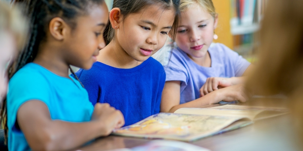 Books For Second Grade Readers The Children s Book Review Books For Second Grade Readers The Children s Book Review