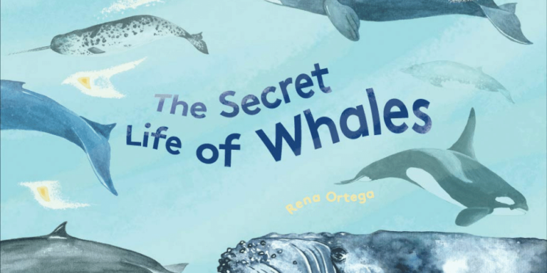 The Secret Life of Whales, by Rena Ortega | Book Review – The Children ...