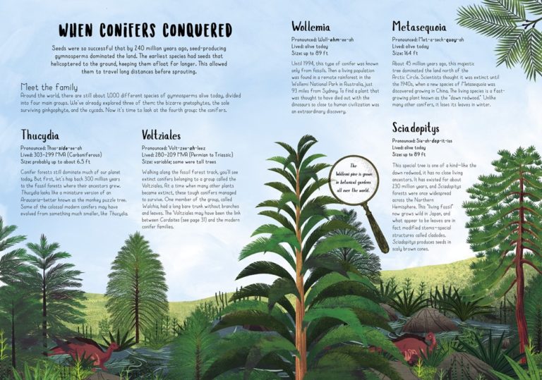 When Plants Took Over the Planet: The Amazing Story of Plant Evolution ...