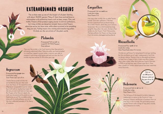 When Plants Took Over the Planet: The Amazing Story of Plant Evolution ...