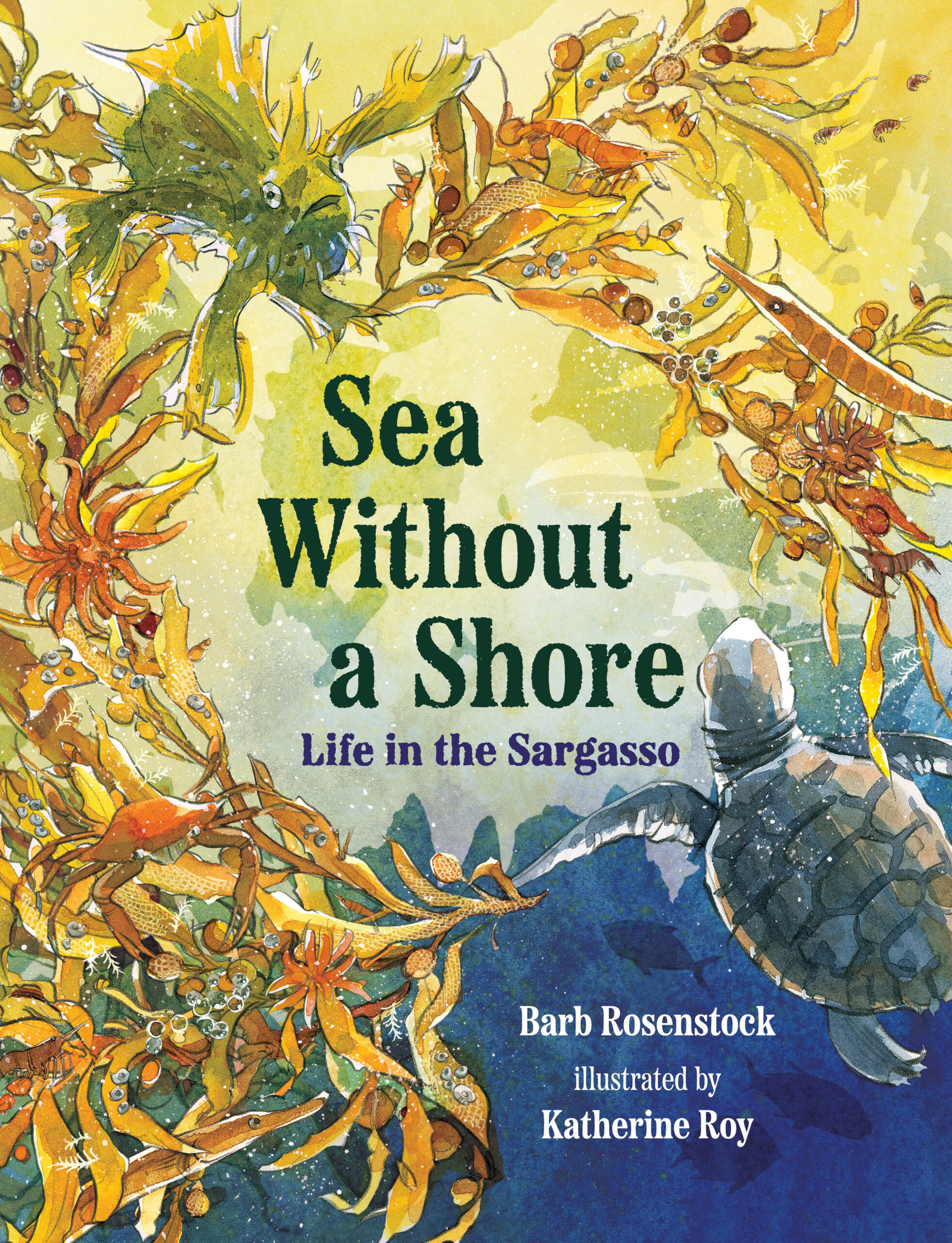 Sea Without a Shore, by Barb Rosenstock | Awareness Tour