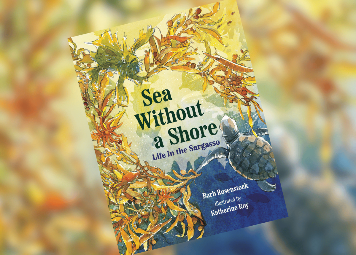 Sea Without a Shore | Dedicated Review