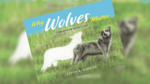 Why Wolves Matter: A Conservation Success Story | Dedicated Review