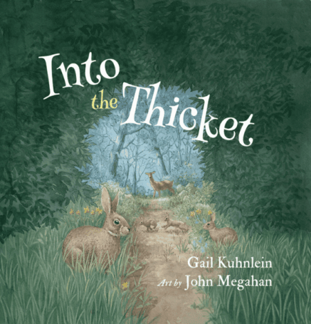 Into the Thicket, by Gail Kuhnlein | Dedicated Review